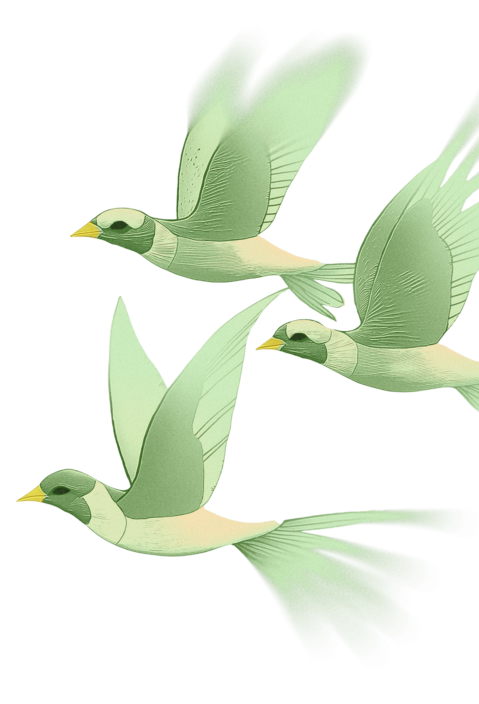 About | Microsoft AI